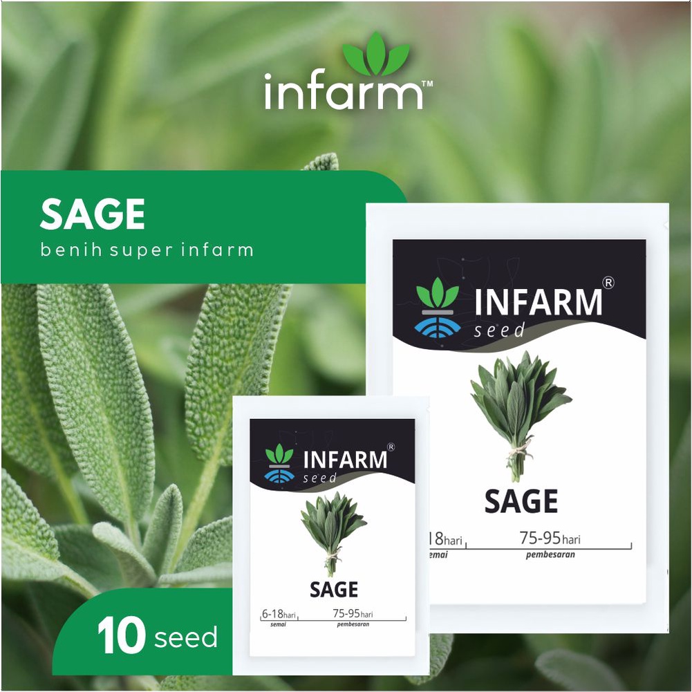 Jual INFARM - Benih Bibit Biji Super Herba Herbal Herbs Sage | Shopee ...