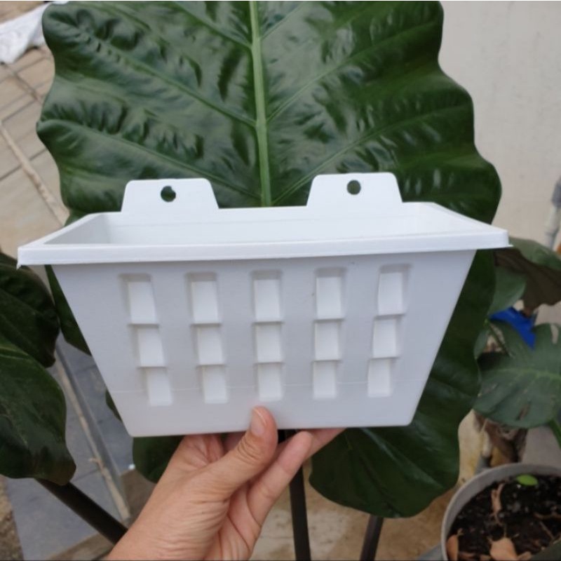 Jual POT DINDING ARGO ORI BUDI JAYA | Shopee Indonesia