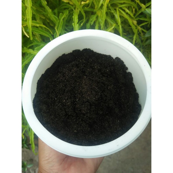 Jual PK kalium permanganat obat cacar ikan netto 1 kg | Shopee Indonesia