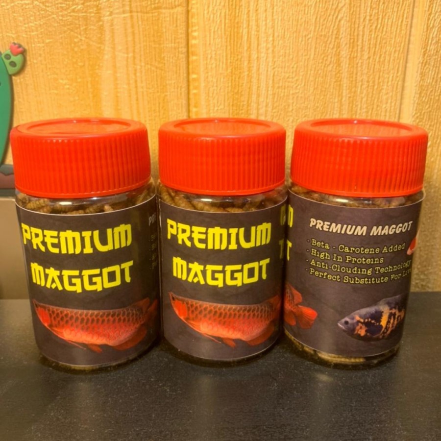 Jual maggot premium maggot pro berkualitas premium magot ulat kering ...