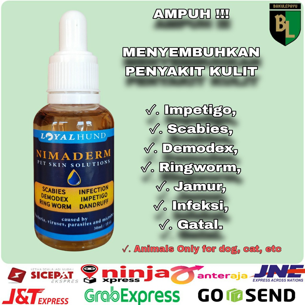 Jual Obat Kulit Kucing Anjing Jamur Scabies Ringworm Demodex Gatal ...