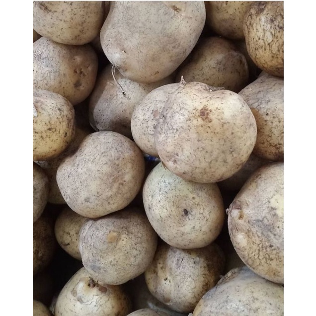 Jual Kentang 1 Kg Terlengkap & Harga Terbaru Juni 2026 | Shopee Indonesia