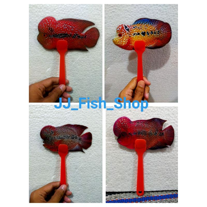 Jual WAYANG IKAN/WAYANG UNTULAN LOUHAN MURAH | Shopee Indonesia