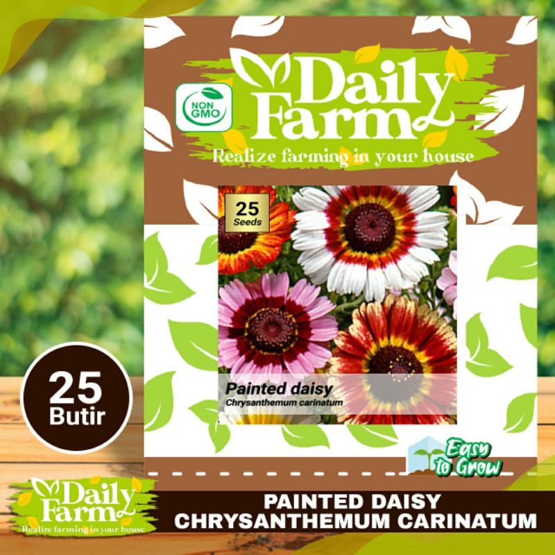 Jual Benih Bunga Painted Daisy - Bunga Kertas - Crysanthemum Carinatum ...