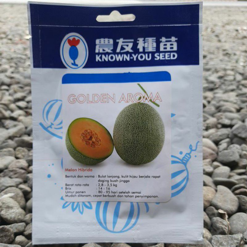 Jual benih buah melon golden GOLDEN AROMA F1 (100btr) Known You Seed ...