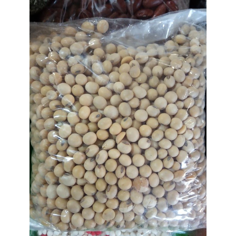 Jual Kacang kedelai USA 500g/kacang kedelai kuning | Shopee Indonesia