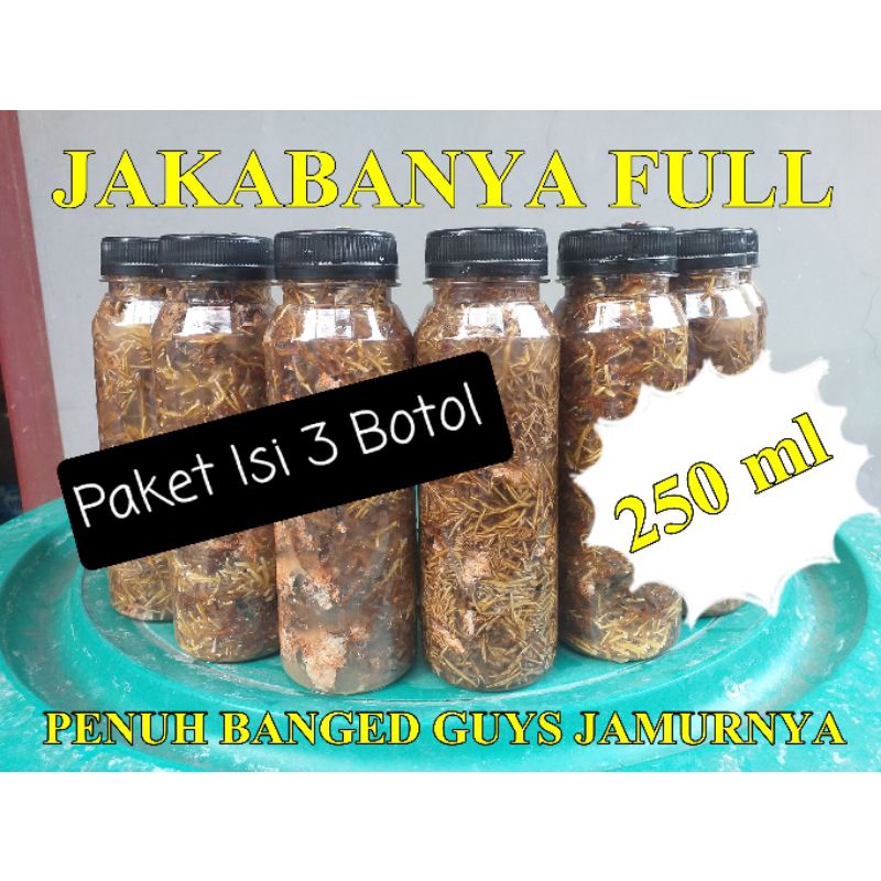 Jual Jamur Biang Jakaba Botol 250 ml ( Paket isi 3 botol ) | Shopee ...