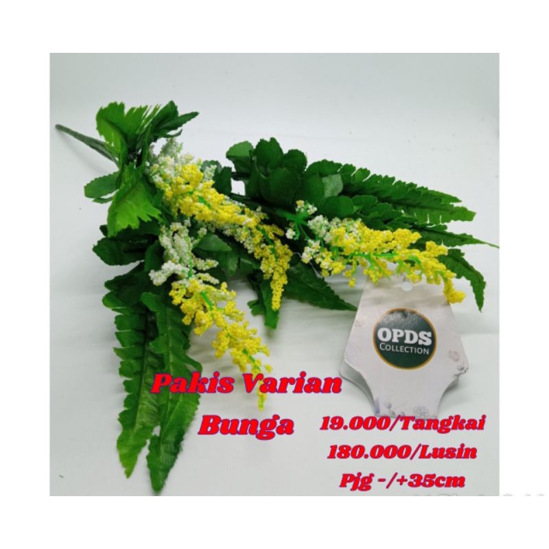 Jual Daun Pakis tangkai varian bunga | Shopee Indonesia