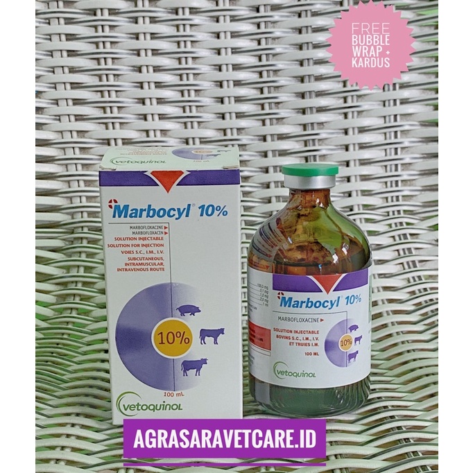 Jual Marbocyl 10% 100 ml - obat pernafasan dan mastitis sapi, babi ...