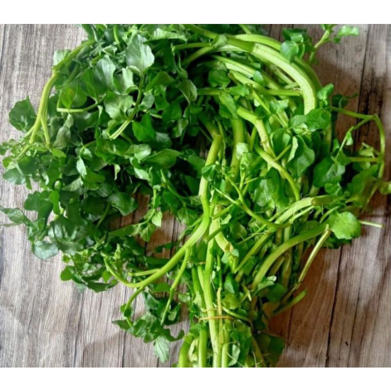 Jual SELADA AIR PER IKAT | Shopee Indonesia