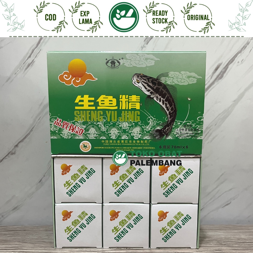Jual SHENG YU JING 6 BOTOL SARI IKAN GABUS KUTUK SHENGYUJING CHANNA ...