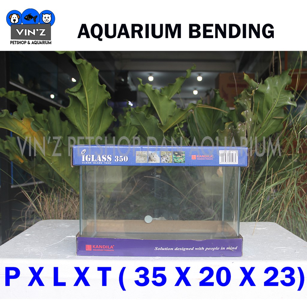 Jual Aquarium Kandila IGLASS 350 Bending Tanpa Sambungan 16L | Shopee Indonesia