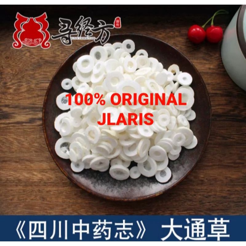 Jual Bai Tong Cao Rice Paper Plant Tetrapanax Papyriferum Bek Tong Cao ...