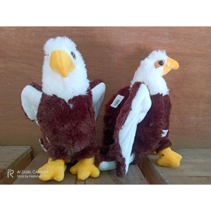 Jual Boneka Burung Elang Bentuk Hewan Hadiah Kado Gift Lucu Lembut ...