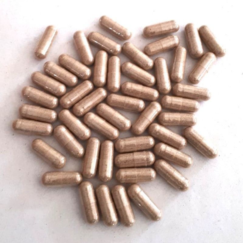 Jual cacing kapsule types | Shopee Indonesia