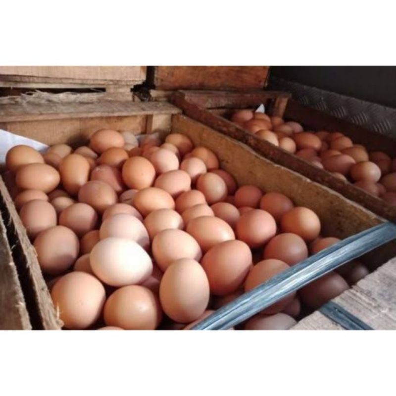 Jual TELUR AYAM 1 PETI ISI 10 KG (KHUSUS GOJEK) | Shopee Indonesia