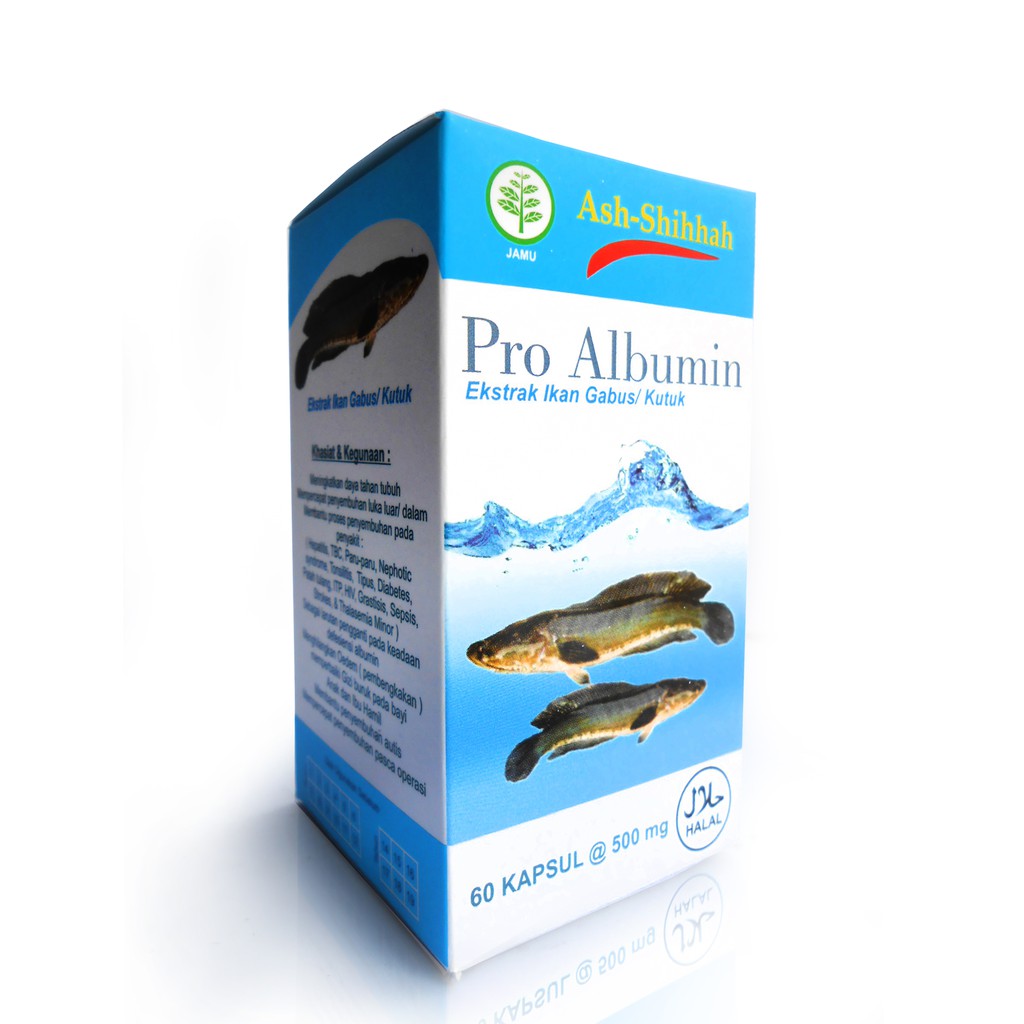 Jual PRO ALBUMIN EKSTRAK KAPSUL IKAN GABUS ASH-SIHAH | Shopee Indonesia