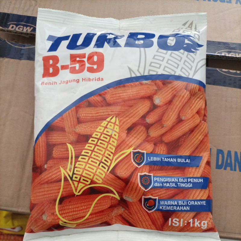 Jual Benih jagung TURBO B-59 1 kg | Shopee Indonesia