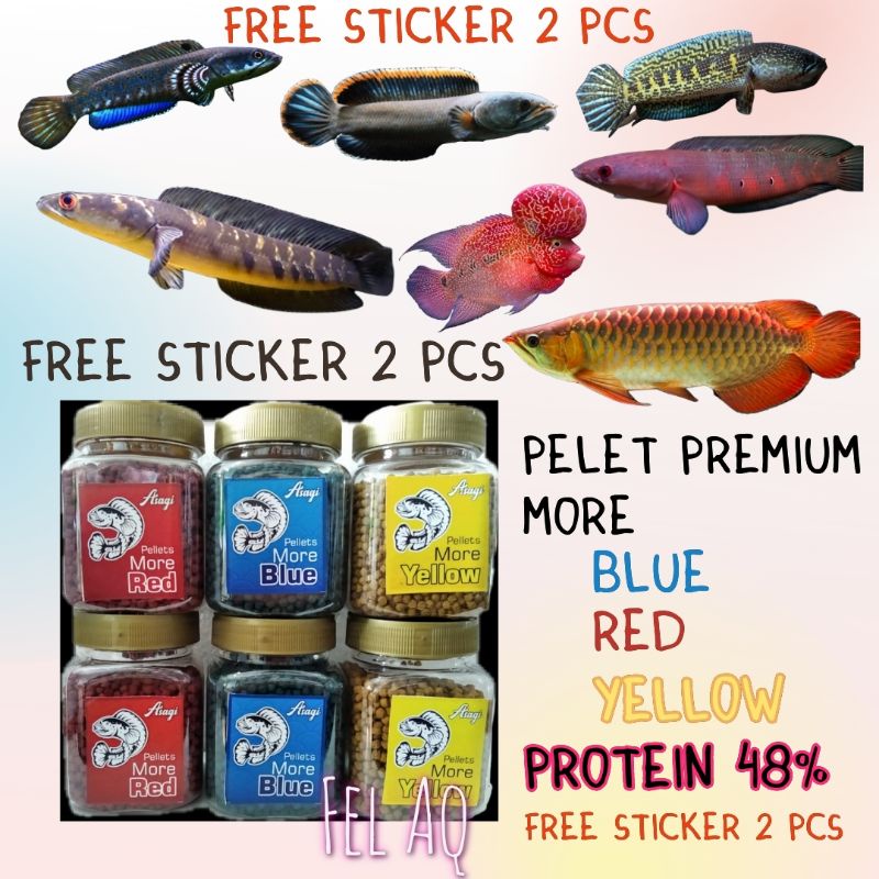 Jual Pellet More Blue Red Yellow Special Channa Predator Pelet Premium ...