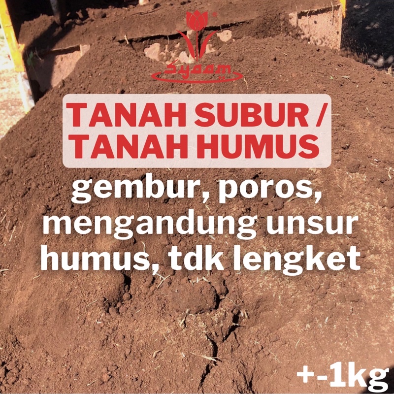 Jual Tanah subur / humus Syaam +- 1kg gembur poros tidak lengket Kompos ...