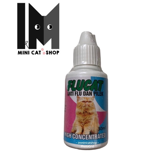 Jual FLUCAT Obat Anti FLU & PILEK pada Kucing -30ml | Shopee Indonesia