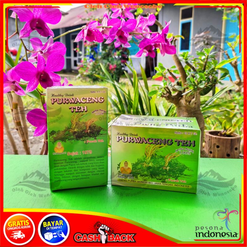 Jual PURWACENG DIENG PURBA ORIGINAL100% / BUBUK MINUMAN HERBAL KHAS DIENG WONOSOBO | Shopee ...