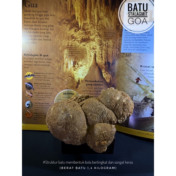 Jual Batu Stalagmit Goa S2 atau Batu Goa atau Batu Stalaktit Natural ...