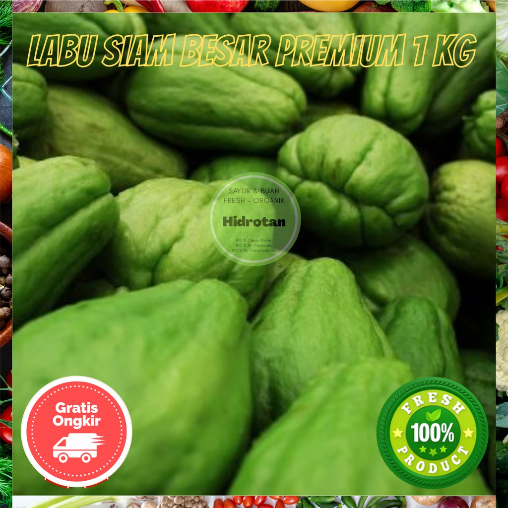 Jual Labu Siam Besar 1 kg Sayur Sayuran Segar Fresh Murah - Free Emas ...