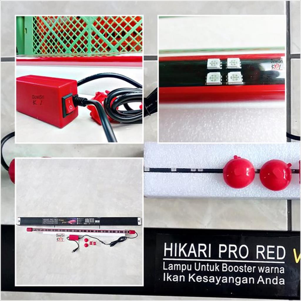 Jual LAMPU LED HIKARI PRO RED 1000 VIEW PLUS AQUARIUM IKAN ARWANA / KOKI / DISCUS | Shopee Indonesia