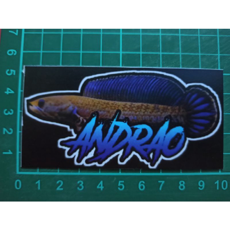 Jual STIKER CHANNA JENIS ANDRAO | Shopee Indonesia