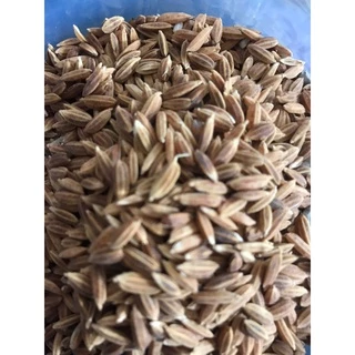 Jual Beras Ketan Merah Terlengkap & Harga Terbaru Juli 2024 | Shopee ...