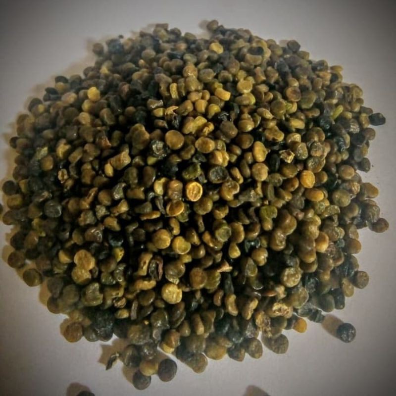 Jual Benih biji indigofera Pakan Ternak isi 100 biji unggul asli ...