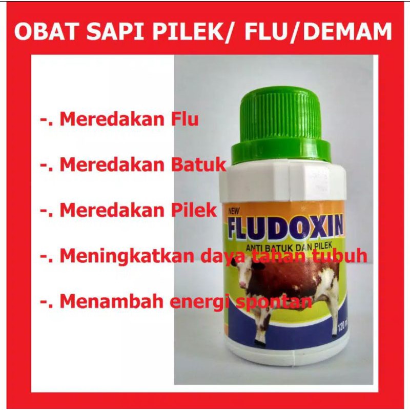 Jual FLUDOXIN Obat Flu Batuk Dan Pilek Sapi Kambing Kerbau 120ml ...