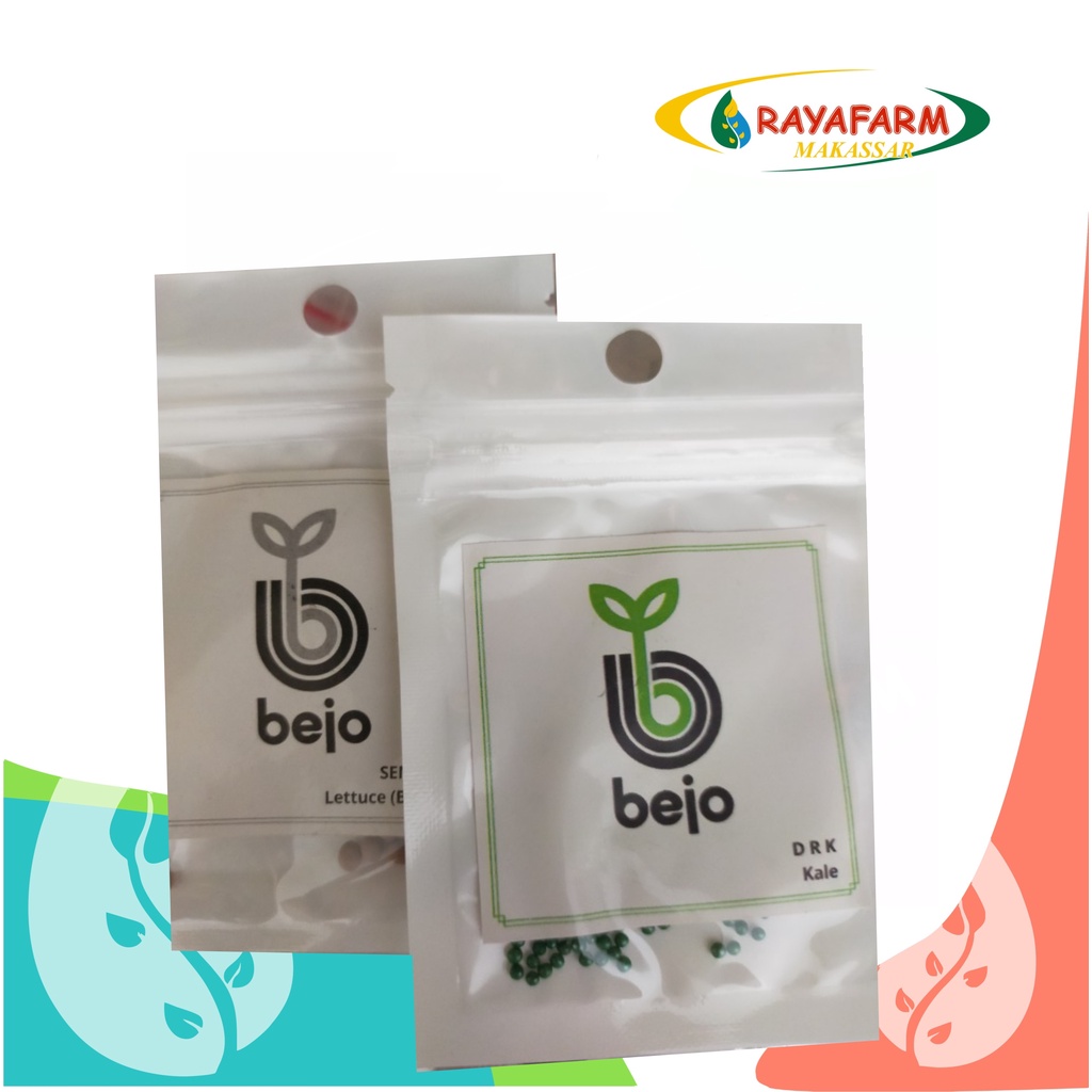 Jual 100 seed DRK - bejo seed - Benih Kale | Shopee Indonesia