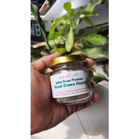 Jual Luban Royal Green Hojari Oman /Luban Oman warna hijau (Originan ...