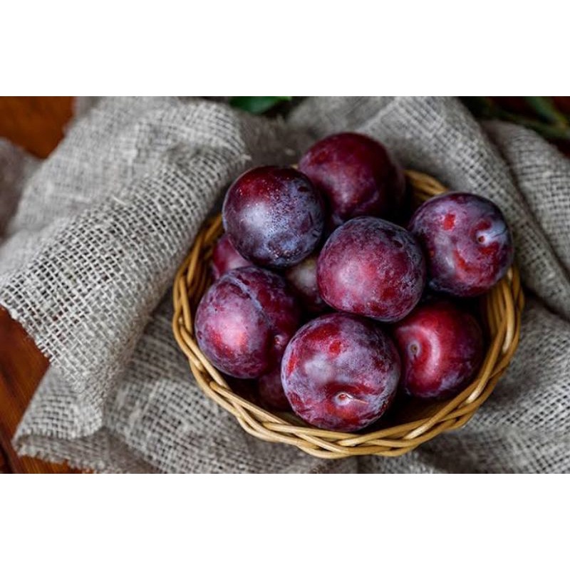 Jual Buah plum merah 500gr | Shopee Indonesia