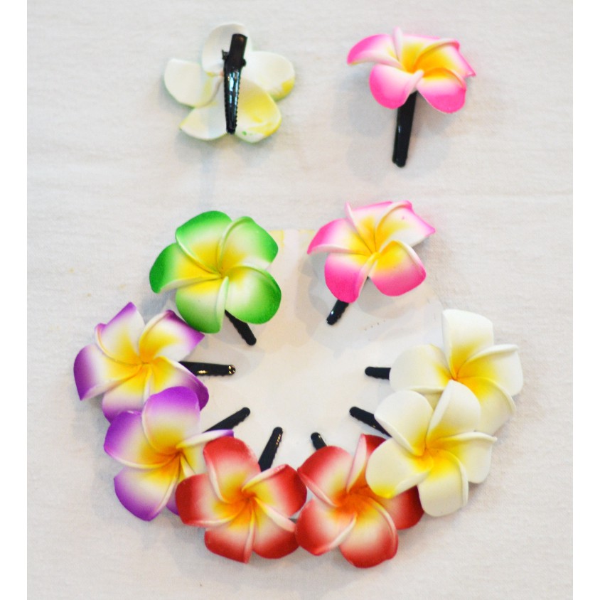 Jual Aksesoris Rambut jepit bunga khas Bali set jepitan hair pin ...