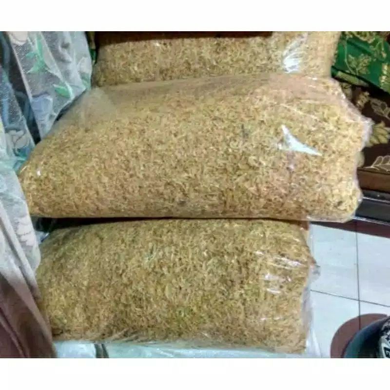 Jual Udang Rebon Asli Kampung Nelayan /Udang Sesar Tawar/Udang Halus ...