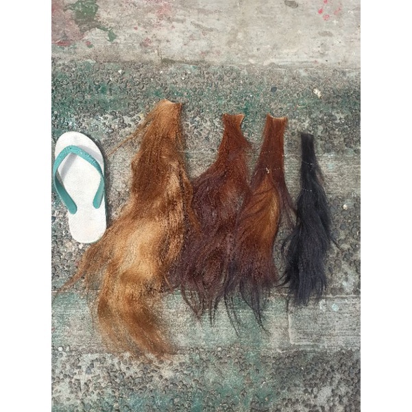 Jual Ekor Sapi, Rambut Barongan (kering tanpa garam) | Shopee Indonesia