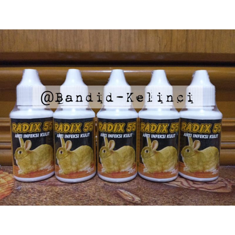 Jual RADIX 55 OBAT OLES ANTI INFEKSI KULIT SCABIES GATAL KUDIS (30ML ...
