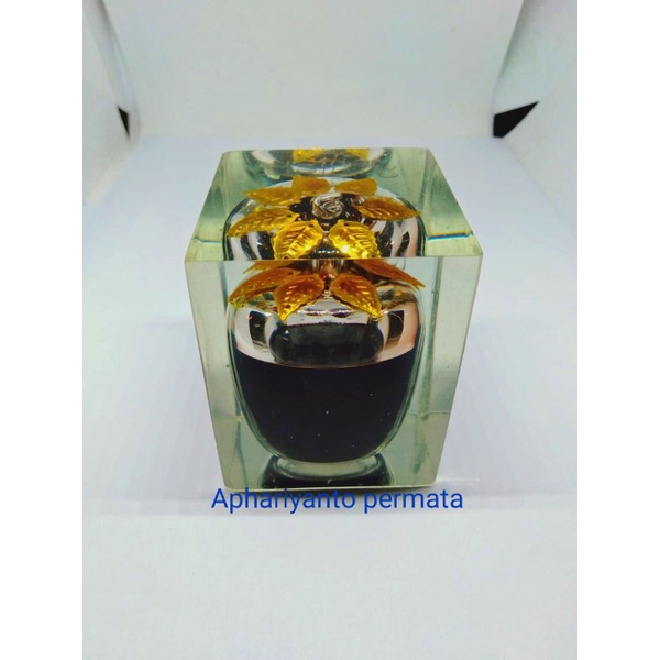 Jual apel jin proses cair | Shopee Indonesia