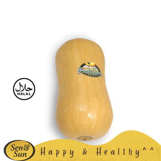 Jual Sen&Sun Bionic Farm Butternut Organik 1 kg | Shopee Indonesia