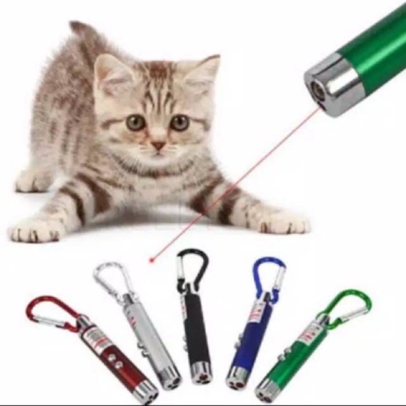 Jual Mainan Kucing Laser Pointer LED Light - Cat Toy | Shopee Indonesia