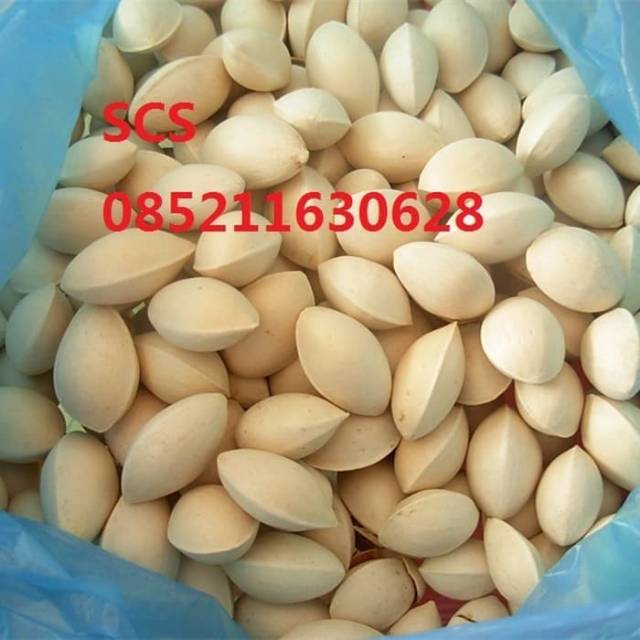 Jual Kacang Ginko Kering / Dried Gingko Nut / Bai guo 100gram | Shopee ...