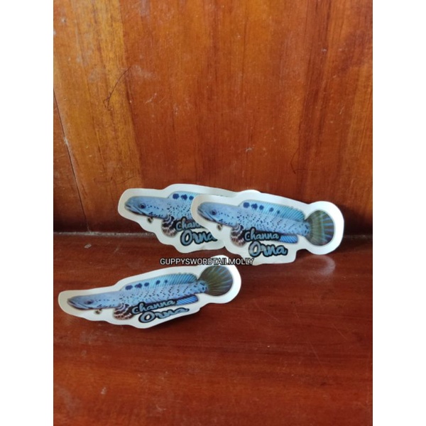 Jual Sticker Stiker Aquarium Channa Snakehead Orna | Shopee Indonesia