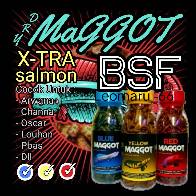 Jual Maggot BSF Original 100% with ekstrak salmon | Shopee Indonesia