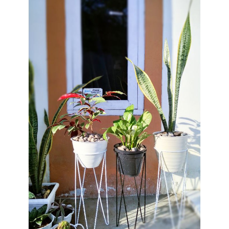 Jual STANDING POT BESI MURAH PRODUKSI SENDIRI | Shopee Indonesia