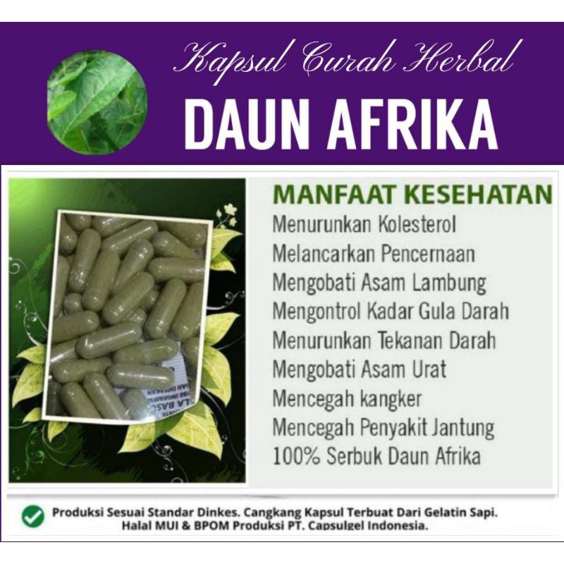Jual kapsul Curah herbal Daun Afrika(isi 100 Pcs) | Shopee Indonesia