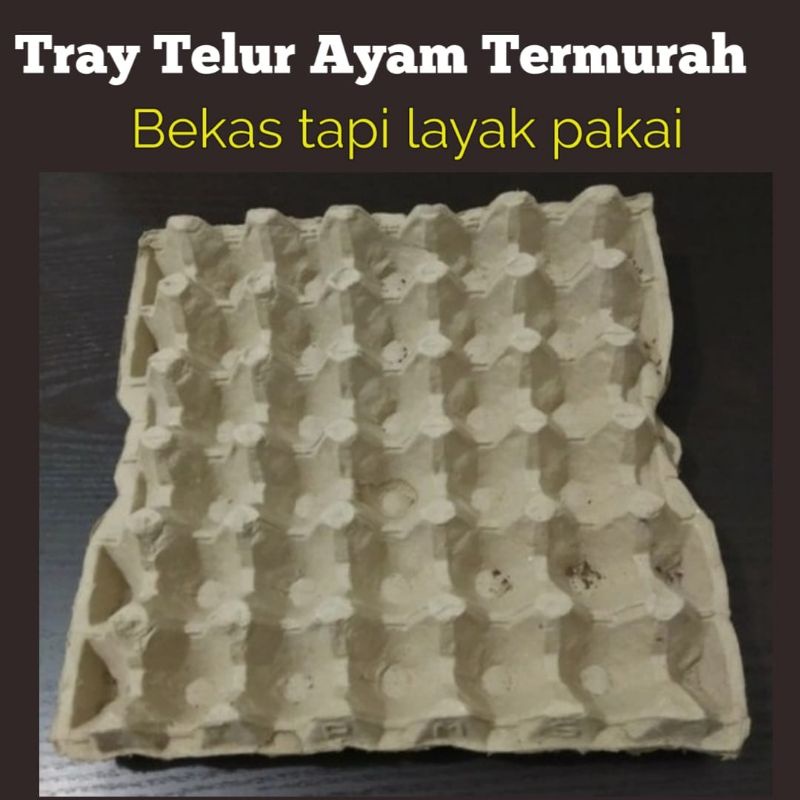 Jual Egg Tray - Tempat Telur - Wadah Telur Bekas Murah layak pakai ...