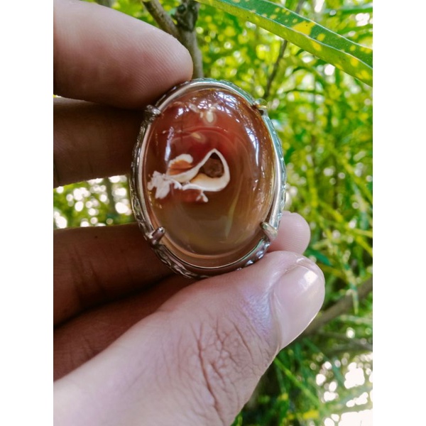 Jual combong unik dan ruby | Shopee Indonesia